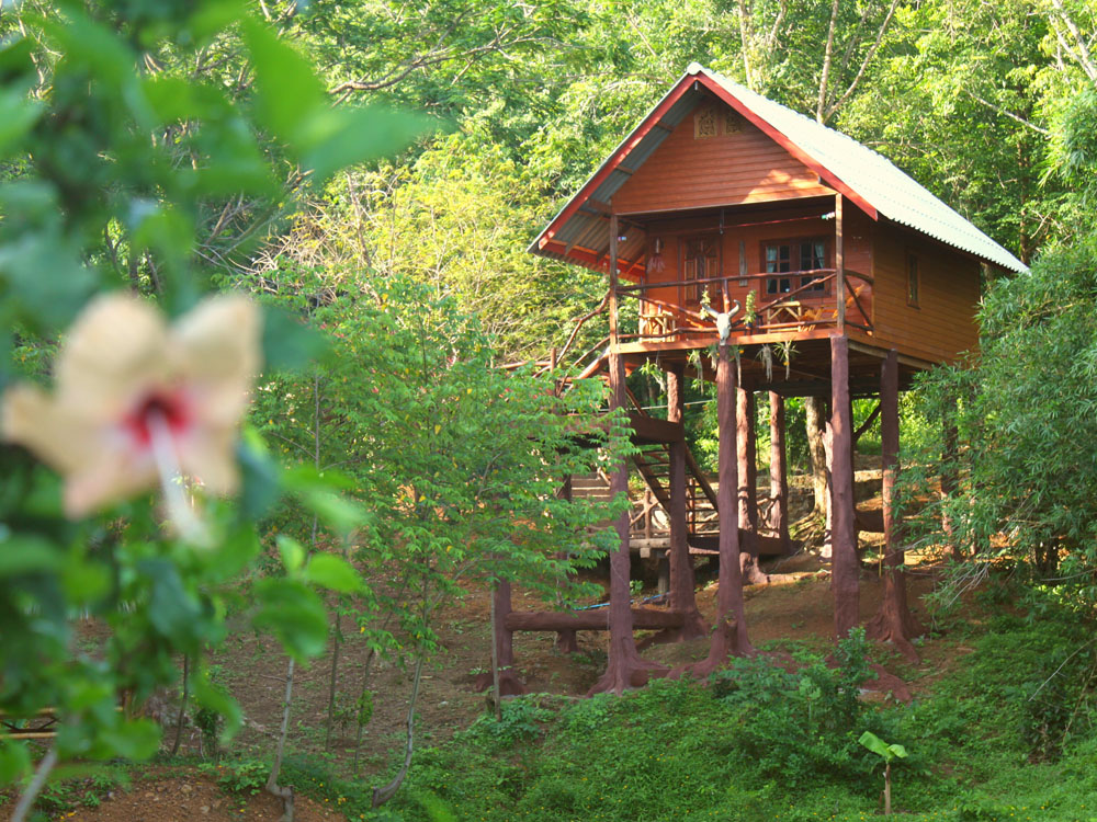 Treehouse gallery - Treehouse Holidays Koh Yao Noi Island Thailand