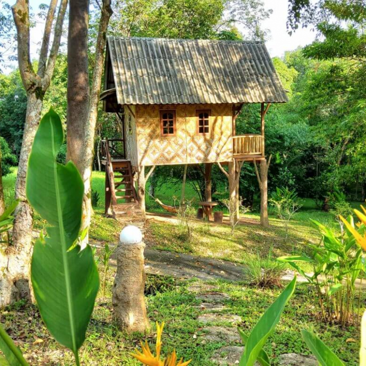 Family Bamboo Treehouse - Treehouse Holidays Koh Yao Noi Island Thailand